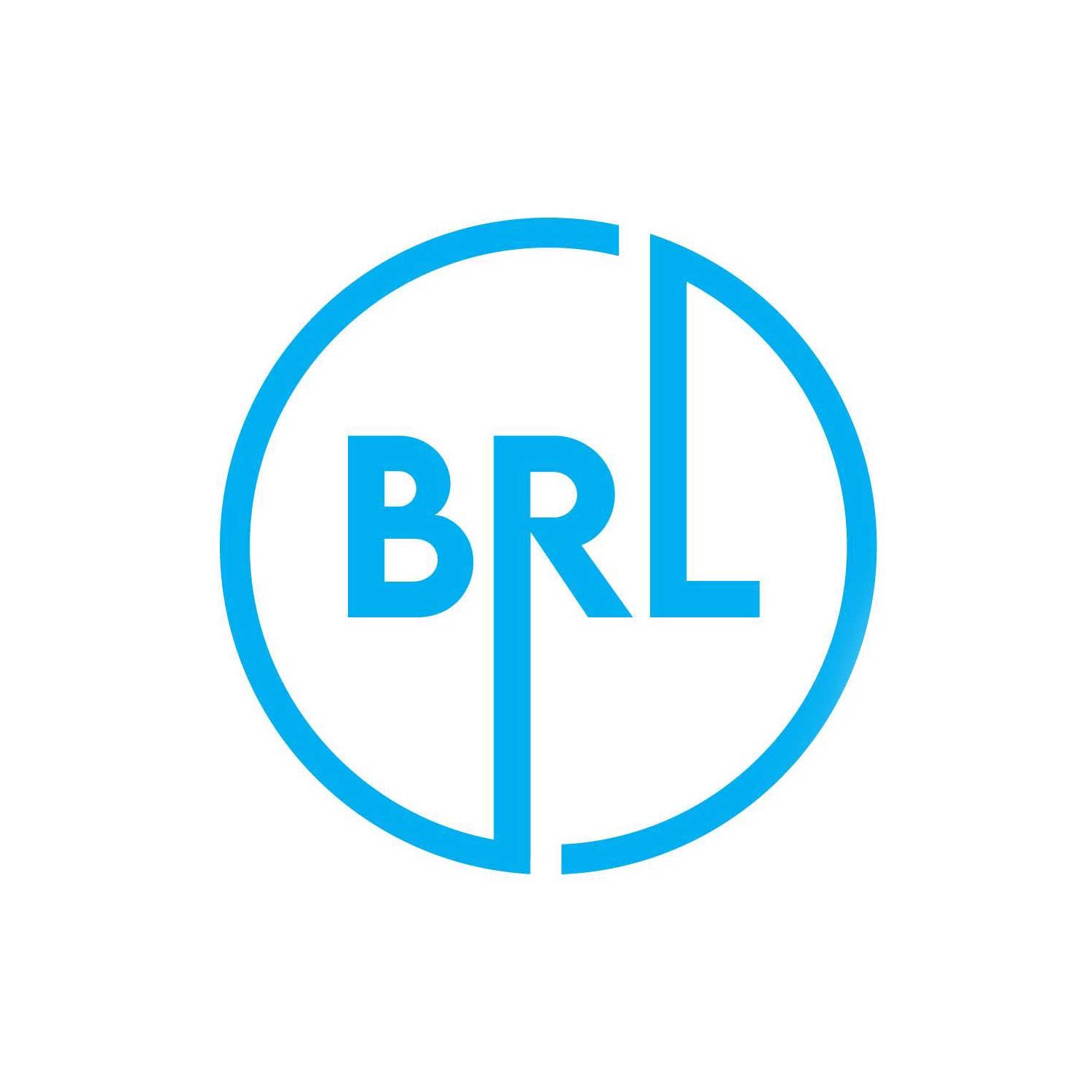 BRL NDT SERVICES - The Social Being